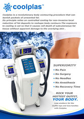 China ice sculpting body fat cool scupting cryolipolysis fat freezing sincoheren non surgical  liposuction slimming supplier