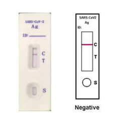 China SARS-CoV-2 Antigen Rapid Test for COVID-19  Coronavirus 2, diagnosis of COVID-19  pandemic  within 15mins supplier